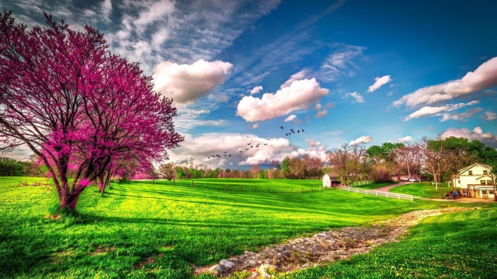 Spring Wallpaper Windows 10 - 2560x1600 Wallpaper - teahub.io