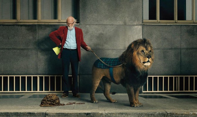 Poop Lion - 1280x762 Wallpaper - teahub.io