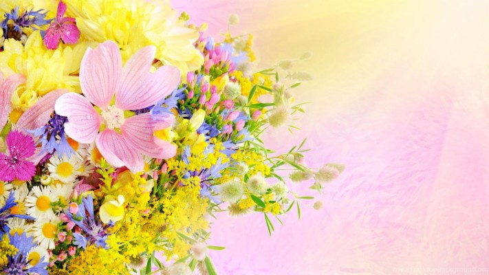 Windows 8 Wallpapers Flower Windows 8 Wallpaper Themes - Hd Flower ...