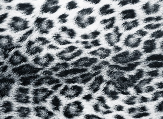 Leopard Print Wallpaper Blue - 640x960 Wallpaper - teahub.io