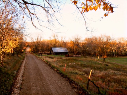 Country Wallpaper - Fall Dirt Road Background - 800x600 Wallpaper ...
