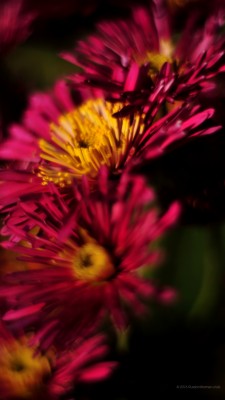 Wallpaper Oppo F1 - Tarpaulin - 720x1280 Wallpaper - teahub.io