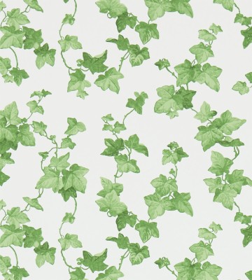 Wall Ivy - Stone Wall With Plants Background - 1500x1000 Wallpaper ...