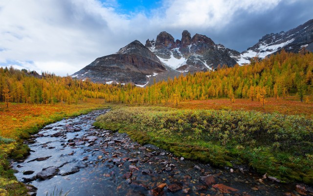 Wallpaper - Landscape Mountain With Stream - 1920x1200 Wallpaper ...