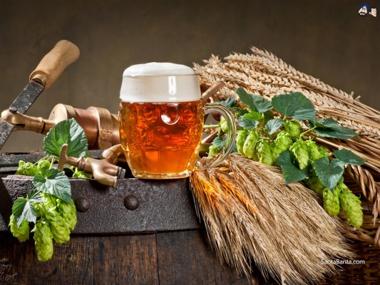 Drinks - Home Brewing - 1024x768 Wallpaper - teahub.io