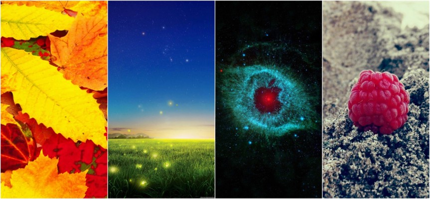 Raspberry Wallpaper Iphone - 1920x1080 Wallpaper - teahub.io