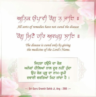 Lal Rang Tis Ko Laga Guru Bani Quotes - 736x747 Wallpaper - teahub.io