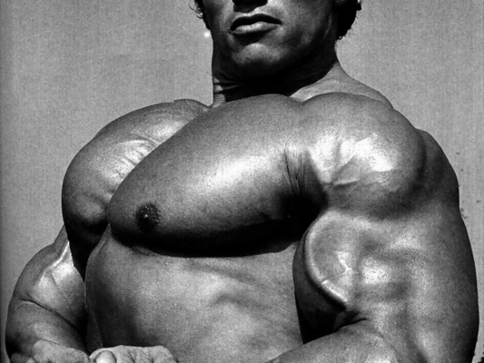 Arnold Schwarzenegger Bodybuilding Poster - 748x841 Wallpaper - teahub.io
