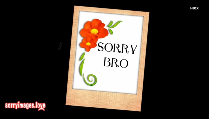 Sorry Wala Wallpaper - Sorry Bro - 934x534 Wallpaper - teahub.io
