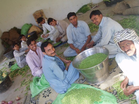 Ramapir Wallpaper - Ramapeer - 1920x1080 Wallpaper - teahub.io