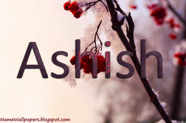 Ashish Name Logo In Tiranga - 1024x768 Wallpaper - teahub.io