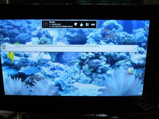 Live Wallpaper Android Tv - 1280x720 Wallpaper - teahub.io