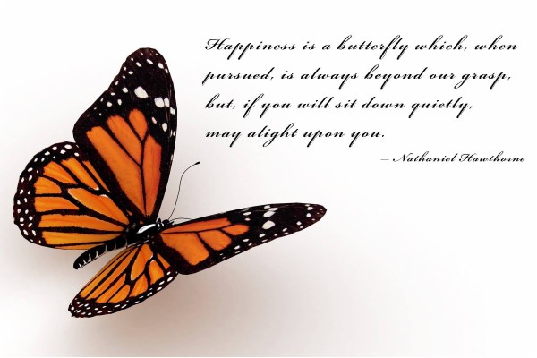Purple Butterfly Wallpaper - Love Butterfly Images Hd - 1920x1080 ...