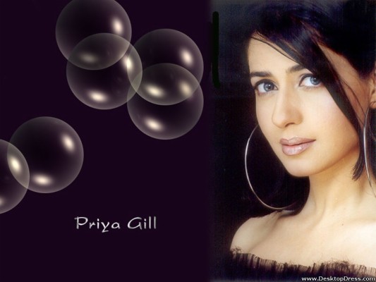 Priya Gill - Indian Girl Priya Gill - 1024x768 Wallpaper - teahub.io