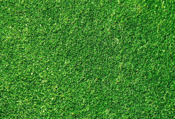 High Resolution Green Grass Background Hd - 3537x2400 Wallpaper - teahub.io