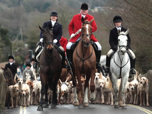 England Fox Hunting - 2048x1536 Wallpaper - teahub.io