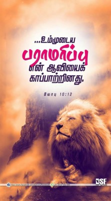 Don T Be Afraid Lion - 720x1296 Wallpaper - teahub.io