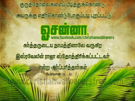 Palm Sunday In Tamil - 800x600 Wallpaper - teahub.io