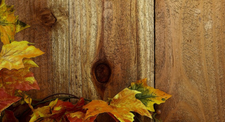 Fence & Fall Leaves Background,free Pictures, Free - Fall Leaves Wood ...