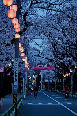 Chill Japan - 683x1024 Wallpaper - teahub.io