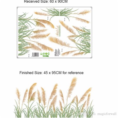 Reeds Plant Border - 800x800 Wallpaper - teahub.io