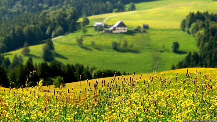 Perfect View - 2560x1440 Wallpaper - teahub.io