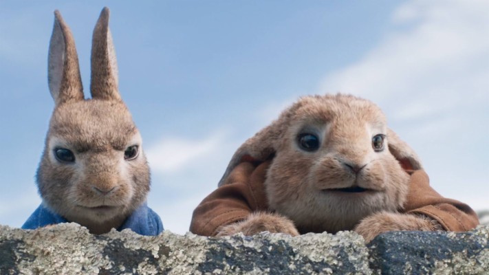 Peter Rabbit And Benjamin Bunny Movie - 1920x1080 Wallpaper - teahub.io