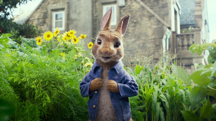 Peter Rabbit Movie Wallpaper - Peter Rabbit Wallpaper 2018 - 1728x1080 ...