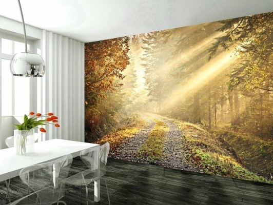 Nature Relaxing Wall Mural - 886x665 Wallpaper - teahub.io