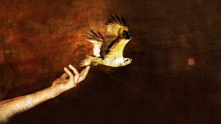 Abstract Images Of Freedom - 1600x900 Wallpaper - teahub.io