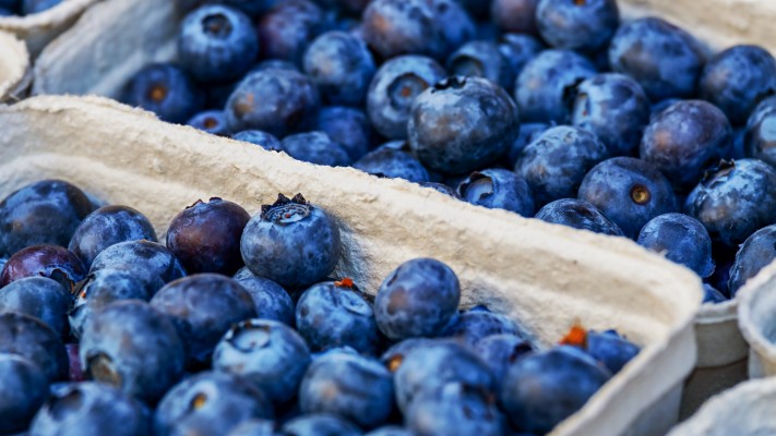 Ultra Hd Blueberries Hd - 3840x2160 Wallpaper - teahub.io