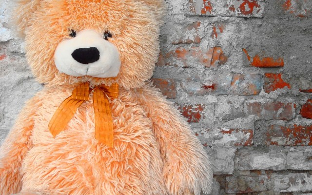 Teddy Hd Pic Beautiful - 1920x1200 Wallpaper - teahub.io