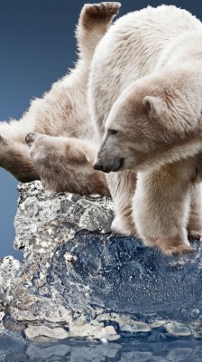 Friendship, Sweet, And Ice Bear Image - Cute Bear - 1200x600 Wallpaper ...