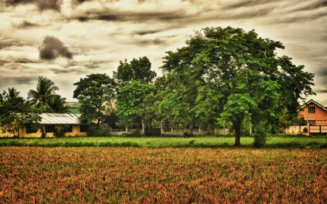 2560x1600, Download Farm Wallpaper 2519 Px High Resolution - High ...