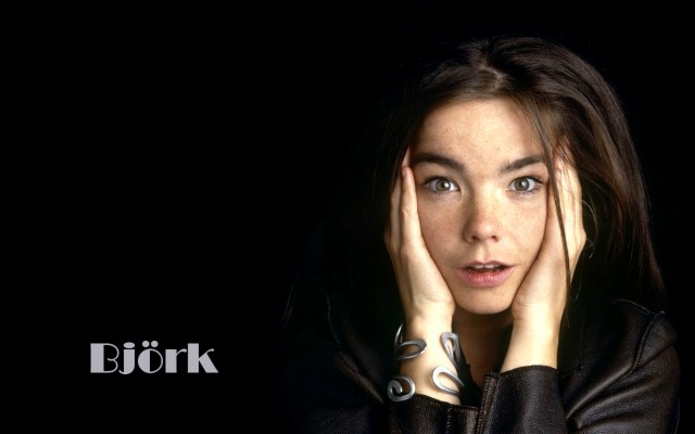 Bjork 1980s - 1024x768 Wallpaper - teahub.io