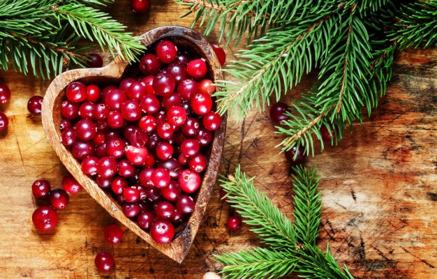 Cranberry Hd - 1920x1200 Wallpaper - teahub.io