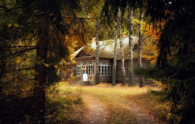 Photo Wallpaper Autumn, Forest, Nature, House - Autumn Forest House ...