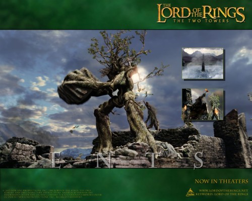 The Lord Of The Rings Wallpaper - Ent Meme Lord Of The Rings ...