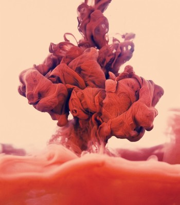 Ink In Water Live Wallpaper - Paint Photography - 1280x800 Wallpaper ...