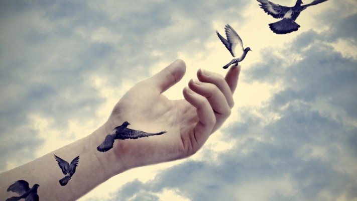 Bird Flying From Hand - 1920x1080 Wallpaper - teahub.io