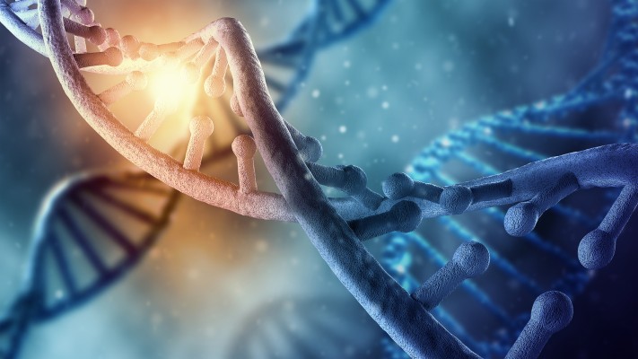 Tissue Engineering - 1920x1080 Wallpaper - teahub.io