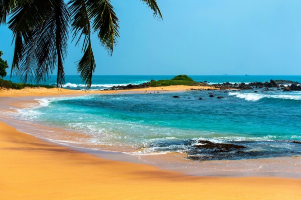 Summer Landscape Wallpaper - Nature Hd Wallpaper For Pc - 1680x1050 ...
