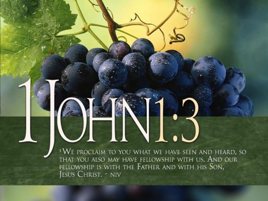 Bible Verses 1 John - Fellowship Bible Verse Niv - 1024x768 Wallpaper ...