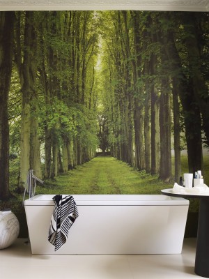Forest Wallpaper Feature Wall - 901x1200 Wallpaper - teahub.io