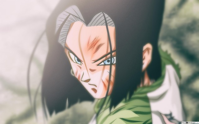 Dbz Android 17 Wallpaper Girl - 2880x1800 Wallpaper - teahub.io