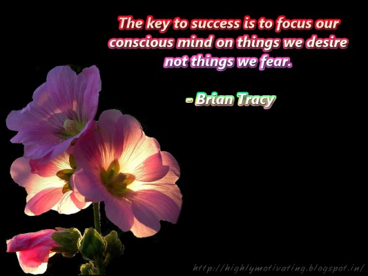 Good Morning Of Rare Flowers - 1024x768 Wallpaper - teahub.io