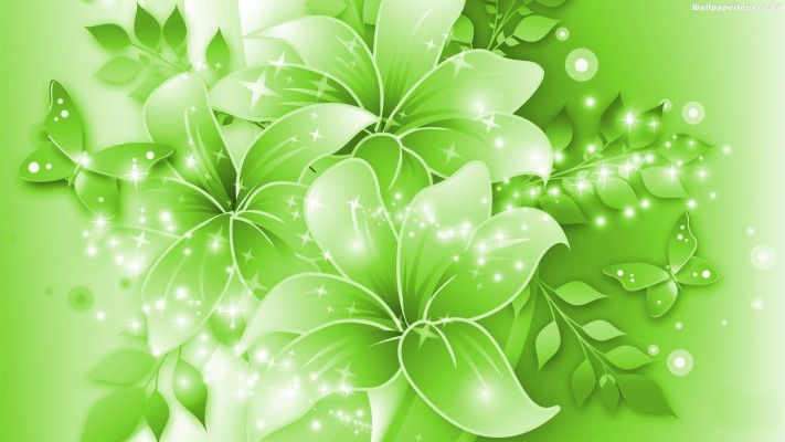 1920x1080, Animated Green Flowers Wallpapers Data - Blue Flower Light ...