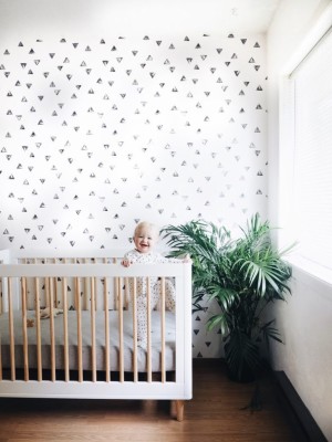 Chasing Paper Botany - 800x795 Wallpaper - teahub.io