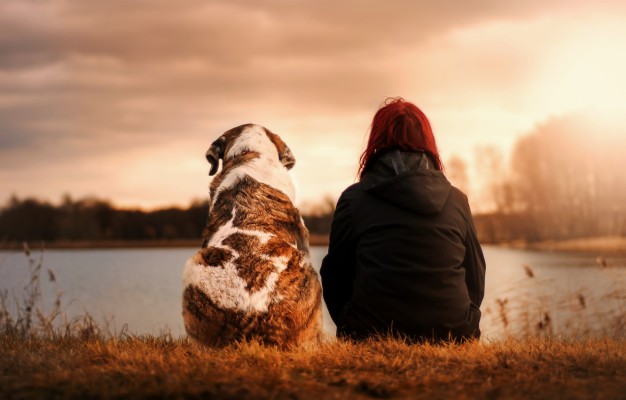 Good Friend - Windows Xp Wallpaper Dog - 1024x768 Wallpaper - teahub.io