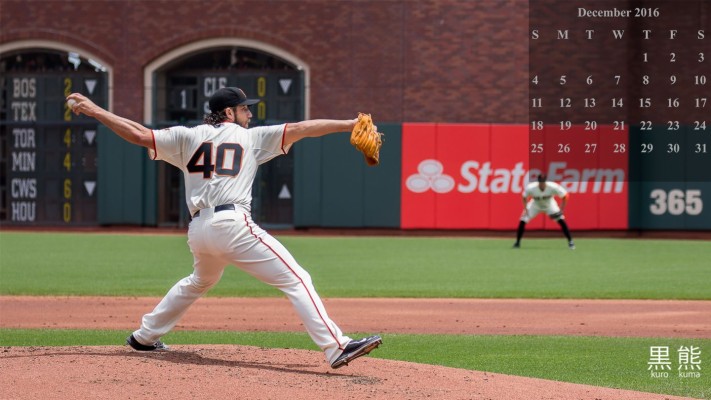 Pitcher - 2620x4000 Wallpaper - teahub.io